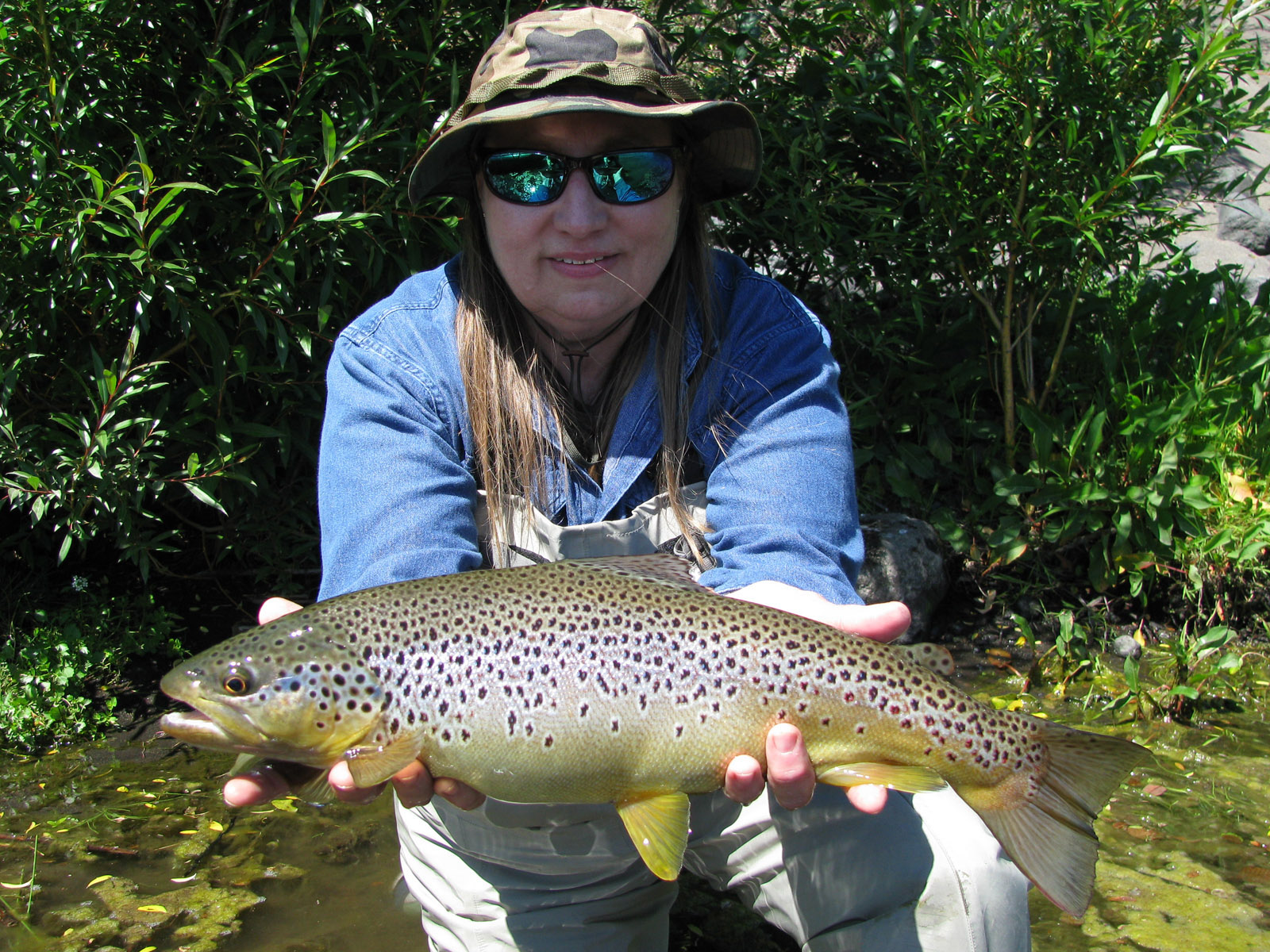 Photo Gallery of Tres Rios Anglers & Trout