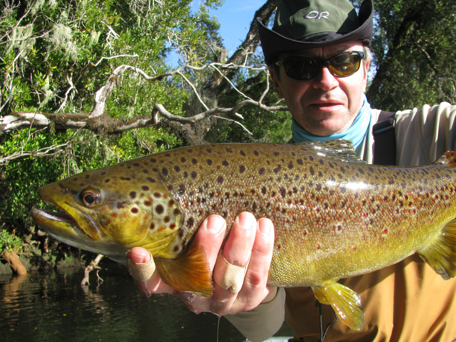 Photo Gallery of Tres Rios Anglers & Trout